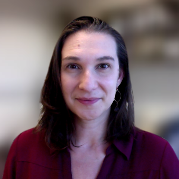 Talia Konkle (Harvard): The representational topography of the visual ...