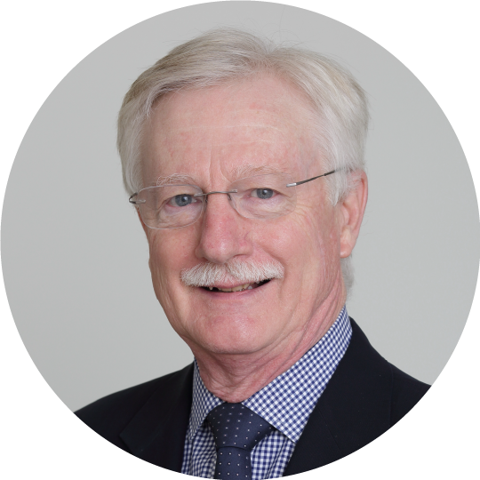 George Koob: Hyperkatifeia, negative reinforcement and the negative ...