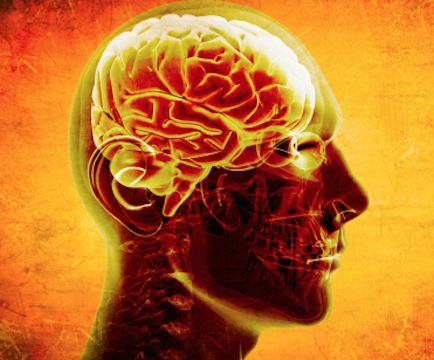Stanford Brain Rejuvenation Project | Wu Tsai Neurosciences Institute